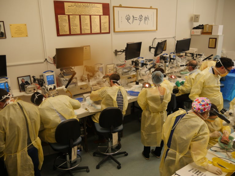 St Vincent’s Temporal Bone Dissection Course | St Vincents ENT