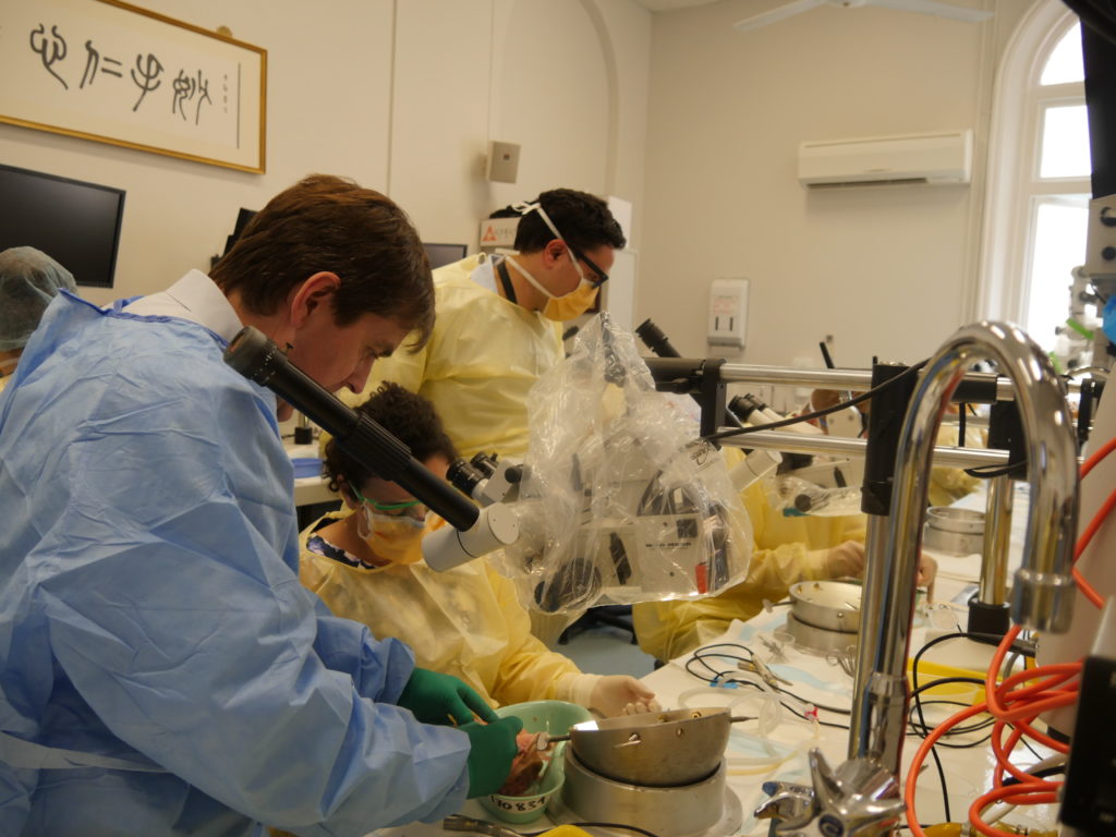 St Vincent’s Temporal Bone Dissection Course | St Vincents ENT